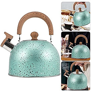 Hemoton Stovetop Tea Kettle Stainless Steel Whistling Teapot Water Kettle Stove Coffee Kettle with Cool Grip Ergonomic Handle for Boiling Water 2L Green