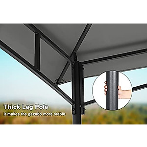 MASTERCANOPY Outdoor Garden Gazebo for Patios with Stable Steel Frame and Netting Walls (10x10,Dark Gray)