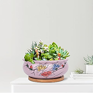 G EPGardening 8 Inch Ceramic Succulent Planter Pot with Drainage Hole Round Shallow Bonsai Planter Pot with Bamboo Saucer Flower Pot for Indoor Plants Pink