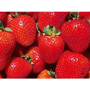 Cute Fresh Strawberry Kitchen Glass Cutting Board Decorative Strawberries Gift For Grandmother Wife Mom Design
