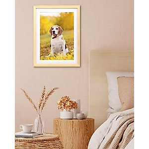 IOOSTAR 12x16 Diamond Painting Picture Frame ，Display Pictures 10 x 14 inch/25x35 cm with Mat or 12 x 16 inch/30x40 cm Without Mat， Diamond Art Photo Frame Natural Solid Wood Color (YNCK0021)