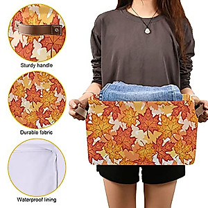 senya Thanksgiving Basket Fall Basket, Autumn Leaves Maple Leaf Foldable Fabric Collapsible Storage Bins Organizer Bag for Storage Toy Storage Pattern 12 One Size x1
