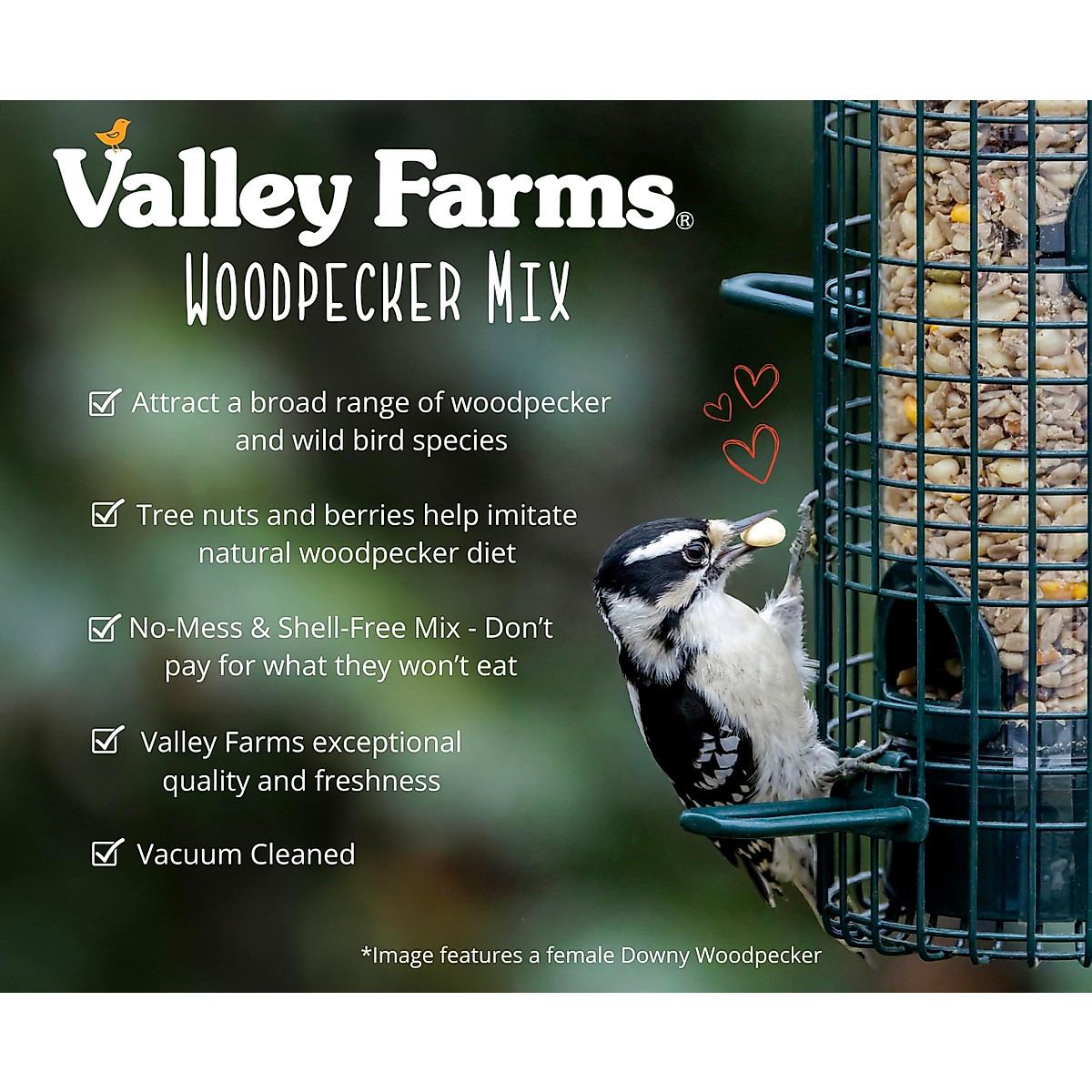 Valley Farms Woodpecker Mix Wild Bird Food, No Mess Bird Seed for Outdoor Feeders, W/Peanuts and Sunflower Hearts for Birds, Woodpecker Food, Attract All Bird Species (4 LBS)