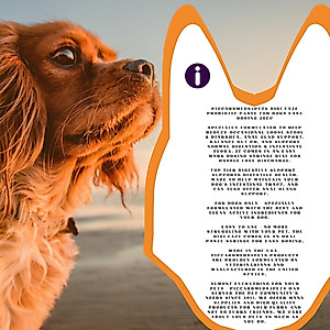 Piccardmeds4pets Digi-Eaze Probiotic Paste Easy Dosing Syringe for Upset Stomach, Traveling Diarrhea, Digestive Health for Dogs 30cc