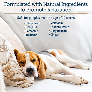 Rx Vitamins NutriCalm - Hemp Calming Chews for Dogs - Dog Calming Chews with Melatonin and Chamomile - Anxiety Relief Treats - Provides Relaxation & Separation Anxiety Relief for Dogs - 120 Capsules