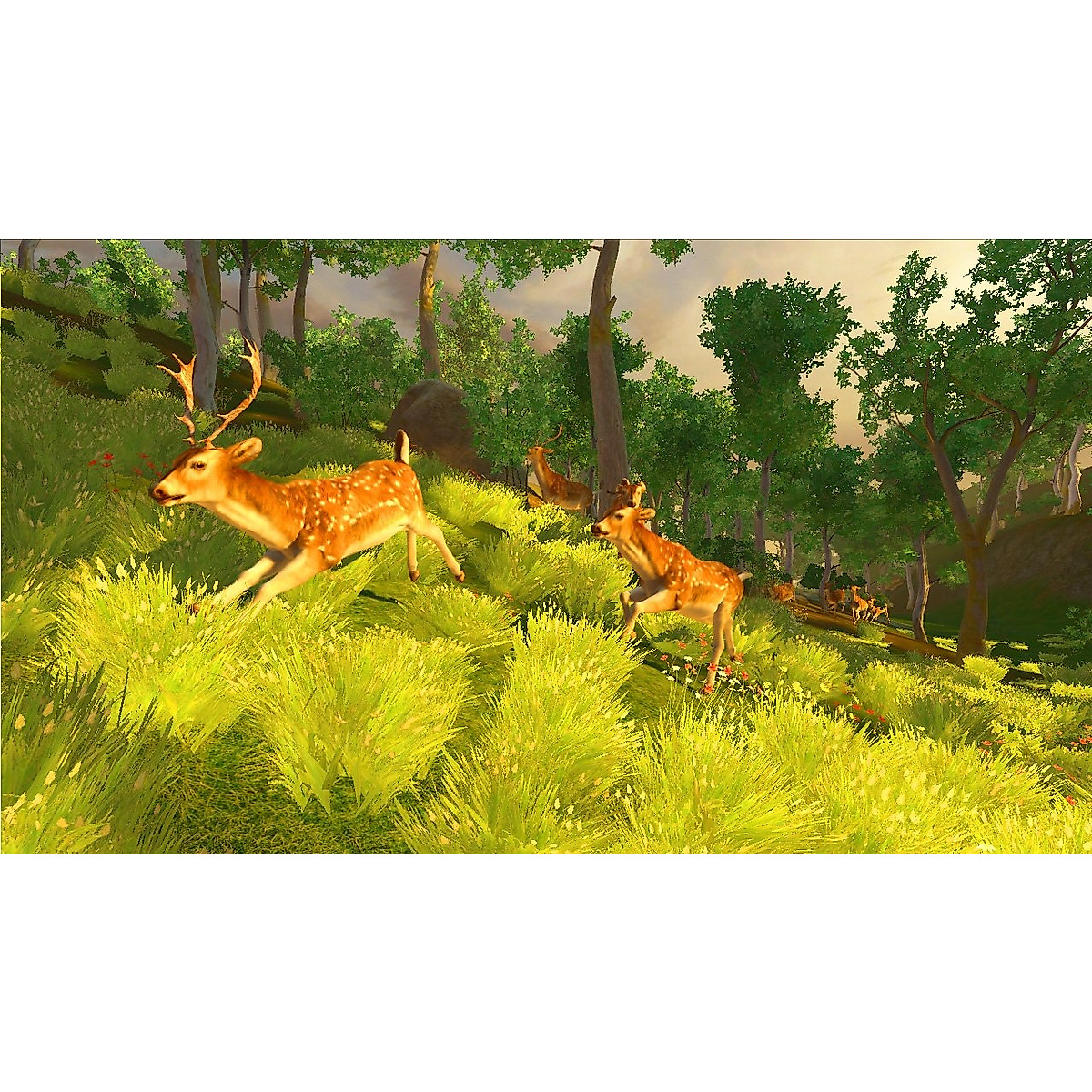 Cabela's Monster Buck Hunter - Software Only - Nintendo Wii