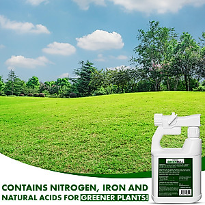 Persist Green Bull - 32oz Liquid Grass Fall Fertilizer Sprayer for Lawn and Garden Soil - Naturally Enhances Green and Creates Nitrogen Rich Plant Soil, Naturally Based Fertilizer for Greener Plants