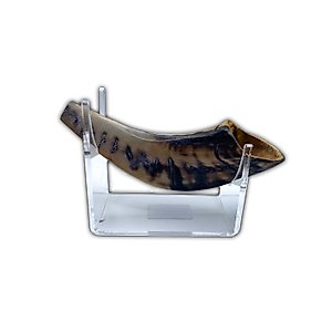 Real shofar small (No Hechsher) Perfect for kids that want the a real shofar. (2 SHOFARS ON BOX)