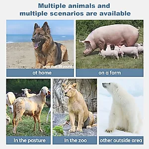 Aopuoe Portable Ultrasound Scanner for Veterinary, with 3.5Mhz Convex Probe, for Pig/Dog/Sheep/Tiger/Bear/and Other Medium-Sized Animals Use