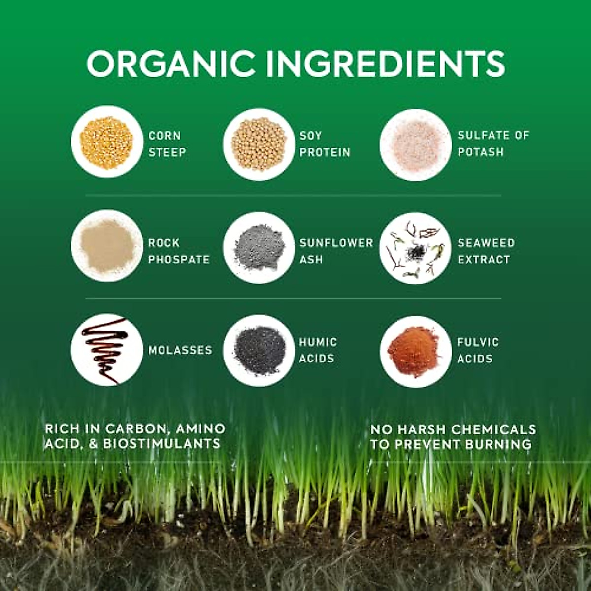 Green Organic Fertilizer - Grass Fertilizer for Greener Color & Sustained Growth, Lawn Food That Conditions & Nourishes Soil, No Harsh Chemicals Turf Care, 32 oz. Lawn Food for 5,000 sq. ft.