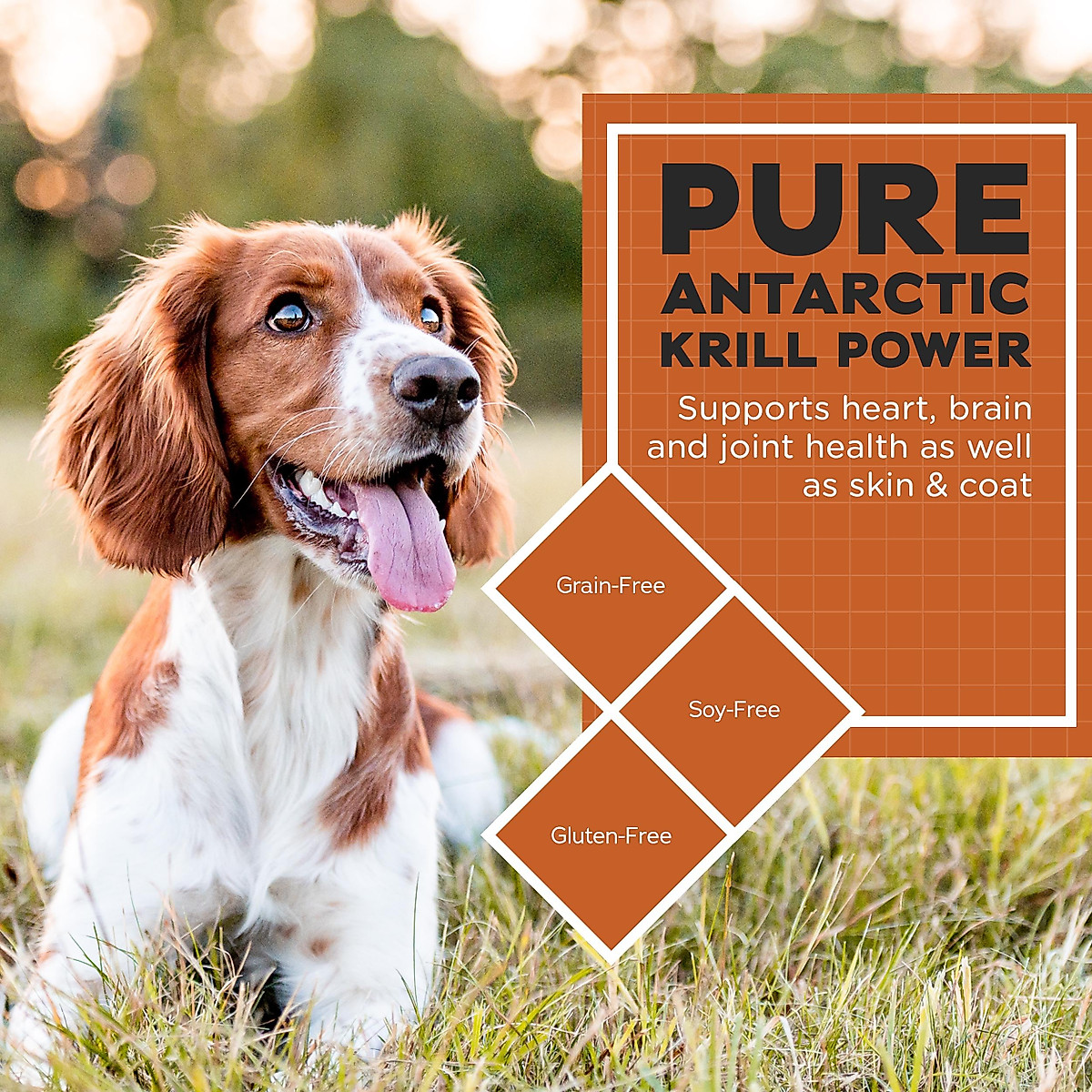 VetWELL Omega 3 Supplement for Dogs with Antarctic Krill Oil, Astaxanthin, Omega 3 6 9, EPA, DHA for Amazing Skin and Coat (60 Count)