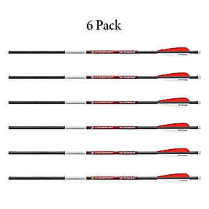 BLOODSPORT unisex adult Precise Durable Carbon Hunting Arrow for - 325 Grains|300 Spine|.003" Straightness| WITNESS 20 CROSSBOW BOLT , Black, US