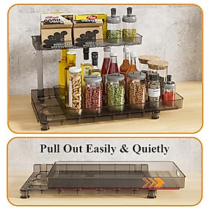 Fowooyeen Under Sink Organizer Storage: Kitchen Sink Organizer Pull Out 2-Tier Sliding Basket Drawer, Multi-Purpose Storage Shelf for Kitchen Bathroom (Black, 1 Pack)