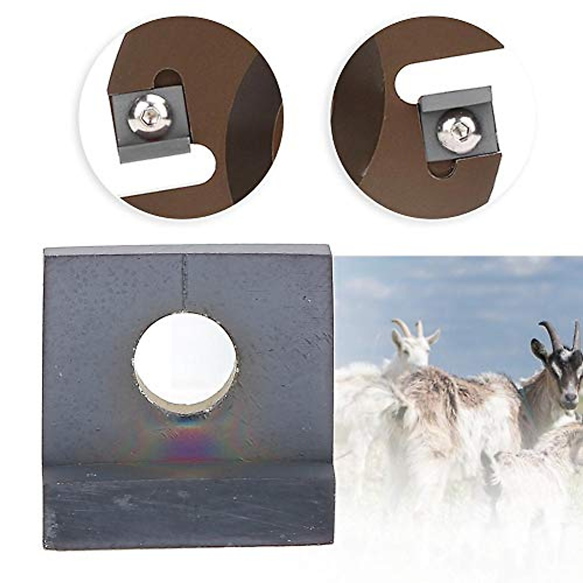 Zerodis Hoof Trimming Cutter, Livestock Foot Trimmer Disc Plate Cattle Hoof Angle Grinder Machine 4 Sharper Cutter Head(for 4 Cutter)