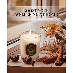 Beeswax Scented Candles Gift Set, Pumpkin Apple Cinnamon Cedar Candles Hypoallergenic Relaxing Aromatherapy Jar Candles for Home Scented, 80 Hours Burn Time, 4 Pack 2.6oz