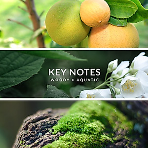 Territoire Eau De Parfum, Men's Cologne (Platinum)