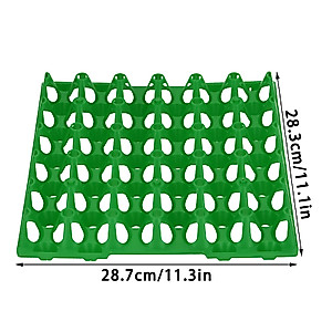 5PCS Plastic Egg Tray Egg Crates 30 Egg Flats for Home Chicken Farmers Stackable Egg Cartons Hold Multiple Eggs Great for Storing Sorting and Shipping Eggs(Green)
