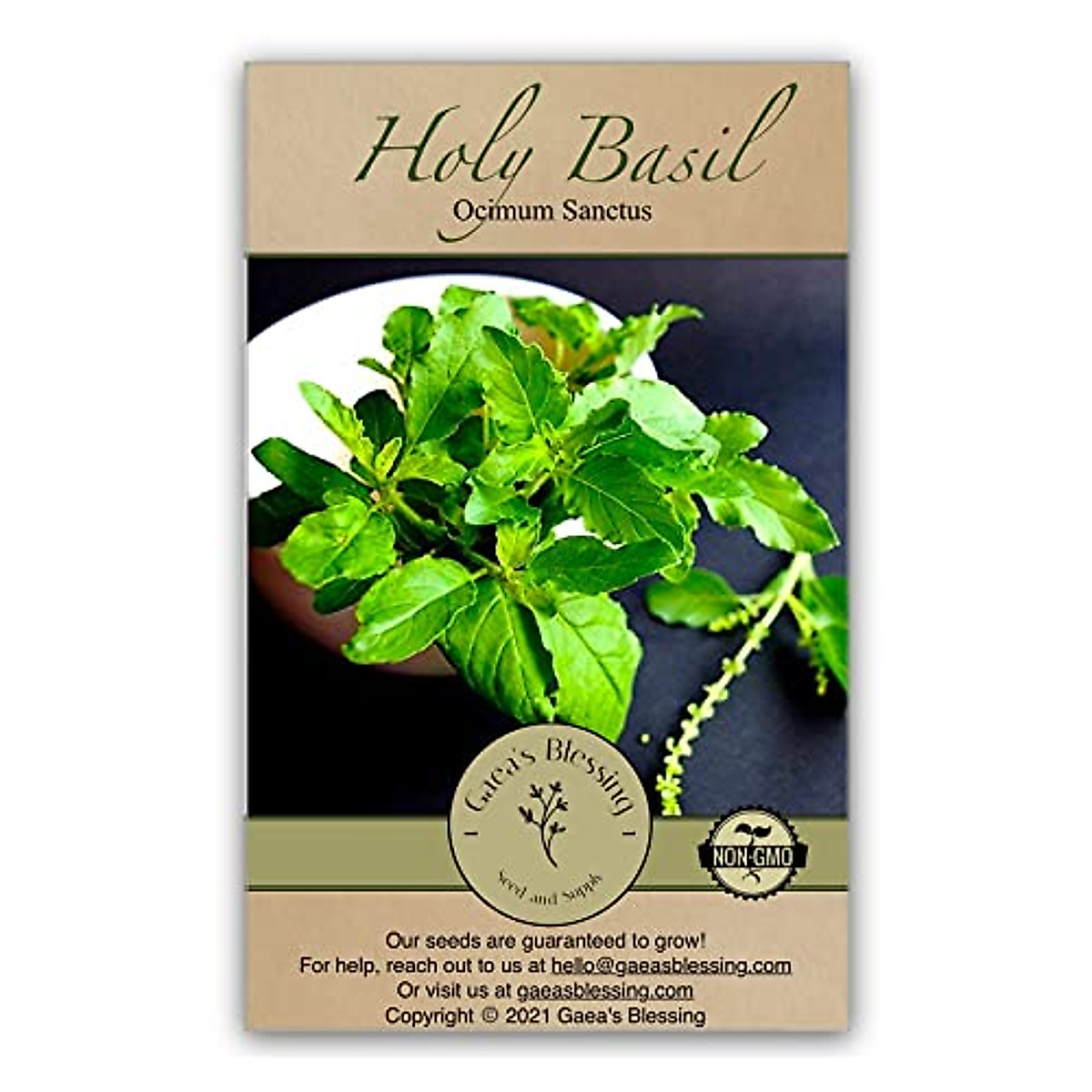 Gaea's Blessing Seeds - Holy Basil Seeds - Heirloom Seeds with Easy to Follow Planting Instructions - Sacred Tulsi Open-Pollinated High Yield Non-GMO 90% Germination Rate
