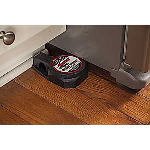 Tomcat Spin Trap for Mice, 2-Pack (Mouse Trap)