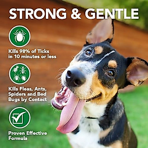 Vet's Best Tick Killing Spray | Tick Treatment Spray for Dogs | Plant-Based Formula | 1 Ounce