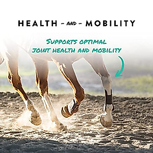 Manna Pro Sho-Flex Supplement for Horses | Formulated with MSM, Glucosamine, and Chondroitin | 5 Pounds