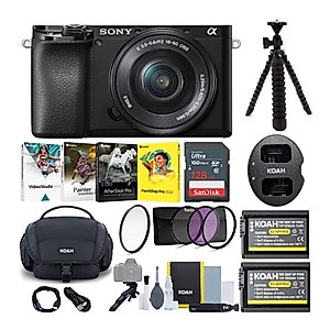 Sony Alpha a6100 APS-C Mirrorless Interchangeable-Lens Camera with 16-50mm Lens Bundle with Accessories (9 Items)