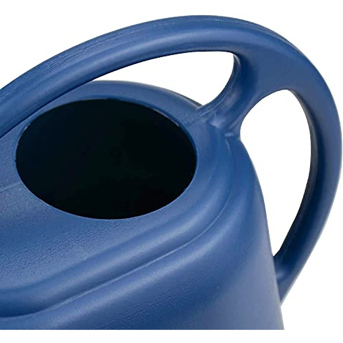 Fasmov Plastic Watering Can, 1-Gallon, Blue