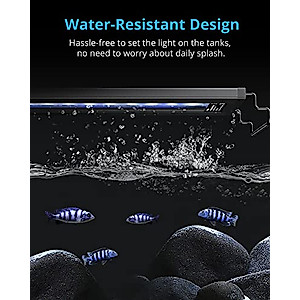 NICREW AquaLux White and Blue LED Aquarium Light, Intensity Adjustable Freshwater Fish Tank Light with 8/10/12 Hours Timer, Sunrise and Sunset Function, 12-18 Inch, 6 Watts