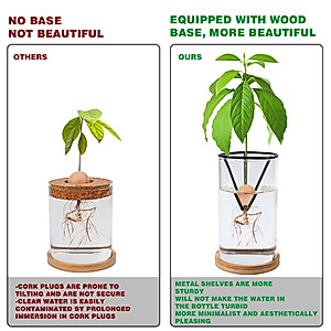 Bylion Avocado Tree Growing Kits, Avocado Growing Vase Wooden Base Avocado Seed Starter Vase Glass Plant Pot Easy Seed Sprout Starter Gift for Women Gardening Lovers Home Office Table Decoration