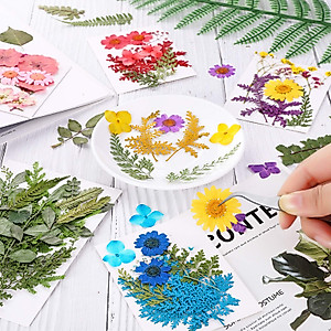 109 Pieces Real Dried Press Flowers Set, Natural Pressed Dry Flowers Leaves Mixed Multiple Dried Flowers with Tweezers for Craft DIY Candle Resin Jewelry Nail Pendant Making Supplies