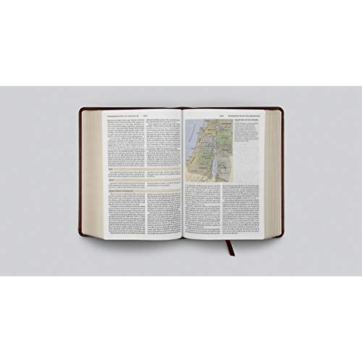 ESV Study Bible, Personal Size (TruTone, Brown)