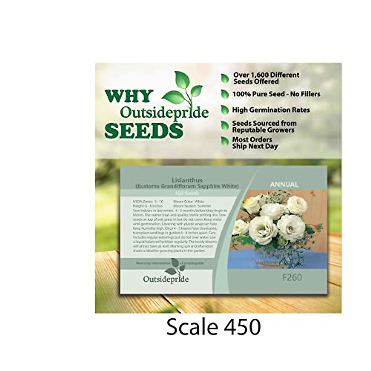 Outsidepride Lisianthus Sapphire White AKA Texas Bluebell or Prairie Gentian Garden Flowers - 50 Seeds