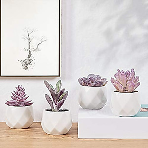 CADNLY Fake Succulent Plant Set for Women Desk - Realistic Artificial Mini Purple Succulent Décor in Ceramic Planter Pots for Bedroom Bathroom Office Shelf Decor
