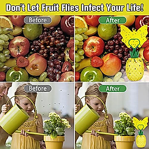 Protecker Fruit Fly Trap with Sticker, Effective Fly Catcher Gnat Trap with Yellow Sticky Traps, Gnat Trap with Bait for Indoor and Outdoor Safe Non-Toxic Fly Trap for Home, Plant, Kitchen(2 Pack)