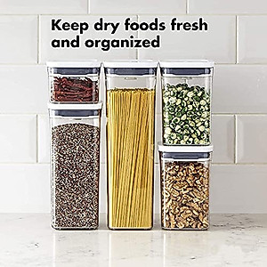 OXO Good Grips 5-Piece POP Container Set with 5 Labels