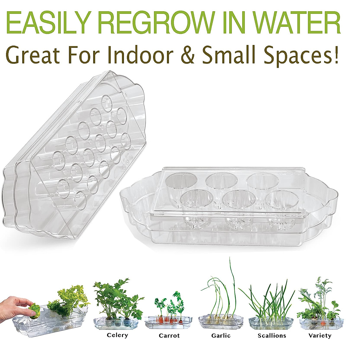 Indoor Gardening System/Small/No Electricity Needed/All Year Round/Hydroponic Growing The Easy Way/Propagate-Regrow in Your Kitchen/I Re Grow