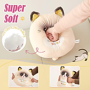 CozyWorld 13.5" Get Well Soon Cat Plush Pillow Soft Cute Cat Stuffed Animal Get Well Soon Gift for Women Girls Kids Patient Feel Better Plush Toy