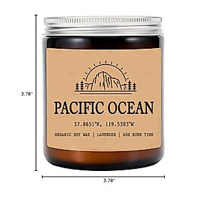 Pacific Ocean - California Scented Candle - Organic Soy Wax - Gift for Her - Gift for Him - New Home Gifts - Birthday Gift for Friend - National Park Gifts - State Candles