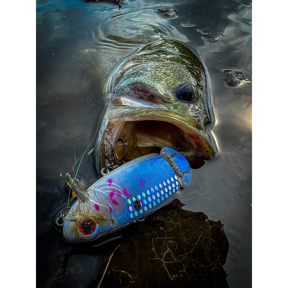 6th Sense Fishing Speed Wake (Live Shiner)