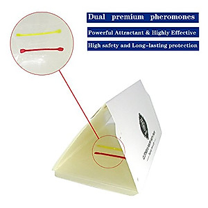 Moth Traps with Two pheromones for All Clothes Moths Kitchen Moths and Pantry Moths 6 Traps