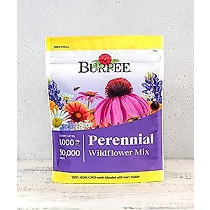 Burpee Wildflower 50,000 Bulk, 1 Bag | 18 Varieties of Non-GMO Flower Seeds Pollinator Garden, Perennial Mix