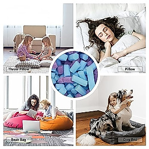 SARVODAYA 10 LBS Shredded Memory Foam Fill, Comfortable and Soft Bean Bag Stuffing Without Gel, Fluffy Bean Bag Filler for Beanbag, Dog Bed, Various Pillows, Couch Cushion, Stuffed Animal