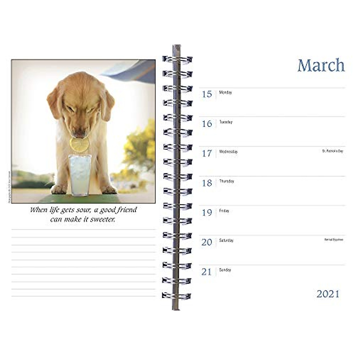 2021 Dogma: A Dogs Guide to Life 16-Month Weekly Planner