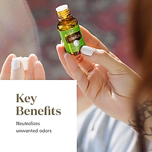 Essential Oil Citronella 15 ml Young Living Malaysia + Free Standard Shipping