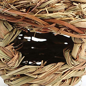 POPETPOP Hanging Bird House Handwoven Grass Bird Hut - Bird Nest for Parakeets Parrots Canary and Other Small Pets - Bird Cage Accessories - Size M