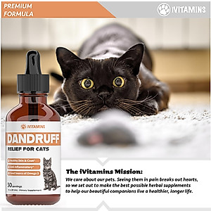 Cat Dandruff Treatment | Naturally Supports a Health Skin & Coat Health | Omega 3 for Cats | Cat Itchy Skin Relief | Allergy Relief for Cats | Cat Itchy Skin Relief | 1 fl oz