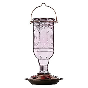 More Birds Amethyst Jewel Hummingbird Feeder, Glass Hummingbird Feeders for Outdoors, 5 Feeding Stations, 20 Ounces