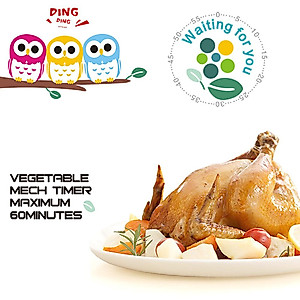 Golandstar Cute Cartoon Owl Timers Mini Size 60 Minutes Mechanical Kitchen Cooking Timer Clock Loud Alarm Counters Manual Timer (Orange)