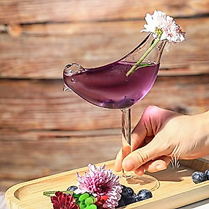 SuproBarware Cocktail Glass - Bird Glass Clear Wine Glasses Set of 2 Goblet Beverage Glass 5 Ounce for Party Wedding