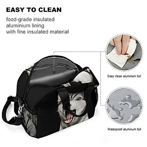 Lunch Box Women Boys Girls Funny Husky Dog Lunch Bag Insulated Thermos Tote with Water Bottle Holder & Removable Shoulder Strap for Back to School Travel Work